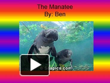 The Manatee By: Ben presentation | free to view