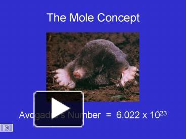 PPT – The Mole Concept PowerPoint presentation | free to view - id ...