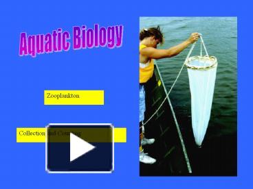 Zooplankton presentation | free to view