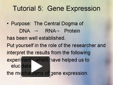 PPT – Tutorial 5: Gene Expression PowerPoint presentation | free to ...