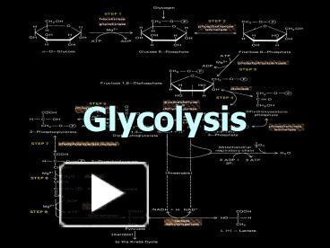 PPT – Glycolysis PowerPoint presentation | free to view - id: 1a899b-ZDc1Z