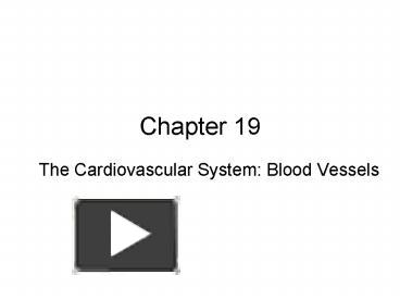The Cardiovascular System: Blood Vessels presentation | free to view
