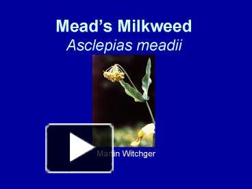 PPT – Meads Milkweed Asclepias meadii PowerPoint presentation | free to ...