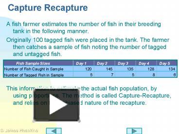 PPT – Capture Recapture PowerPoint presentation | free to view - id ...