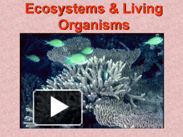 PPT – Ecosystems PowerPoint presentation | free to view - id: 1a9db5-MmNlM