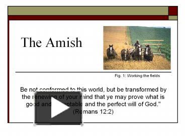 The Amish presentation | free to view