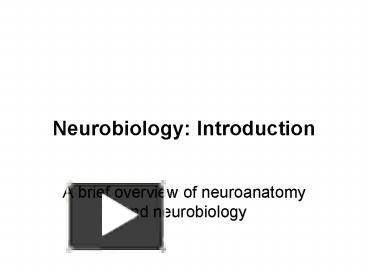 Neurobiology: Introduction presentation | free to view