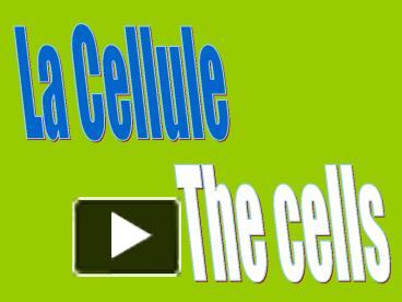 La Cellule presentation | free to view