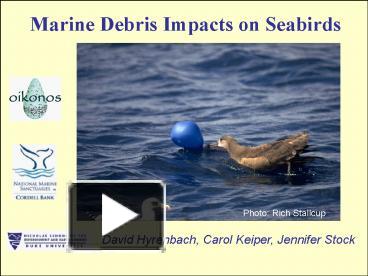 PPT – Marine Debris Impacts on Seabirds PowerPoint presentation | free ...