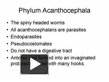Phylum Acanthocephala presentation | free to view