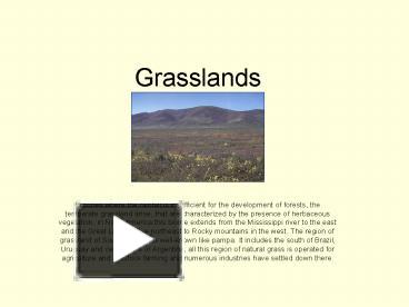 PPT – Grasslands PowerPoint presentation | free to view - id: 1afdfa-ZDc1Z