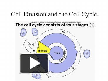 Cell Division and the Cell Cycle presentation | free to view