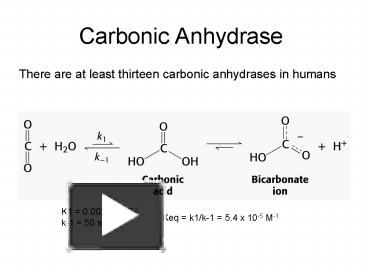 Carbonic Anhydrase presentation | free to view