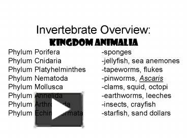 Invertebrate Overview: Kingdom Animalia presentation | free to view