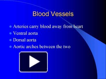 Blood Vessels presentation | free to view