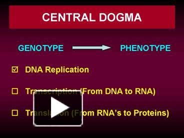 CENTRAL DOGMA presentation | free to view