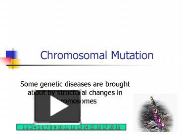 Chromosomal Mutation presentation | free to view