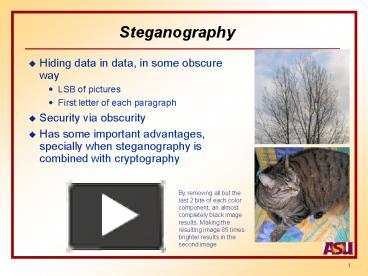 Steganography presentation | free to view