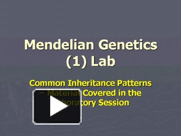 PPT – Mendelian Genetics 1 Lab PowerPoint presentation | free to view ...