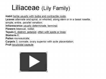 Liliaceae Lily Family presentation | free to view