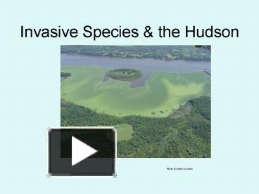 Invasive Species presentation | free to view