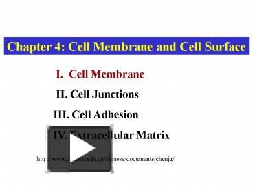 PPT – Chapter 4: Cell Membrane and Cell Surface PowerPoint presentation ...