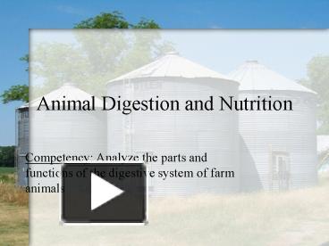 Animal Digestion and Nutrition presentation | free to view
