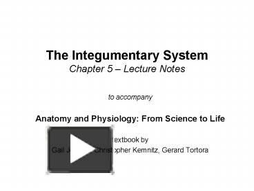 The Integumentary System Chapter 5 Lecture Notes presentation | free to ...