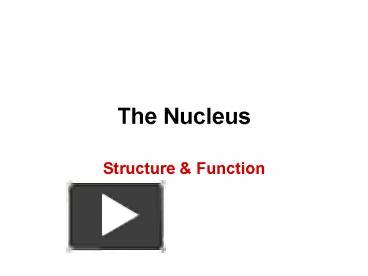 The Nucleus presentation | free to view