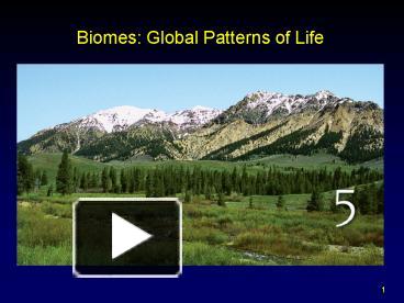 Biomes: Global Patterns of Life presentation | free to view