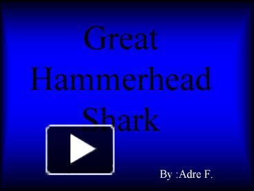 Great Hammerhead Shark presentation | free to view