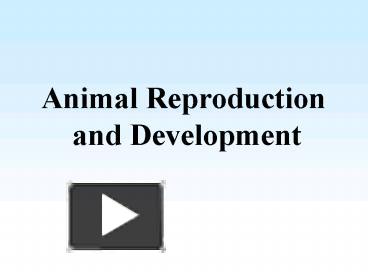 Animal Reproduction presentation | free to view