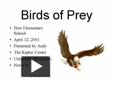 PPT – Birds of Prey PowerPoint presentation | free to view - id: 1c97b ...