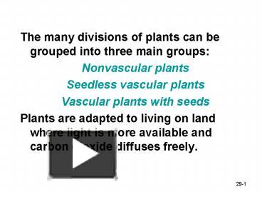 PPT – The many divisions of plants can be grouped into three main ...