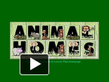Animal Homes presentation | free to view
