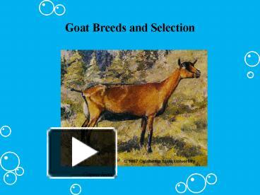 Goat Breeds and Selection presentation | free to view