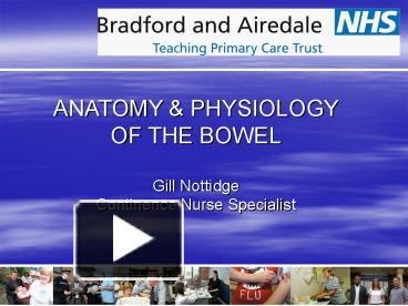 Anatomy and physiology of the bowel presentation | free to view
