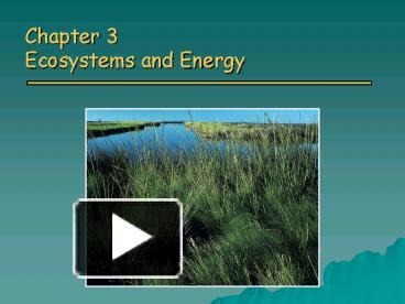 Chapter 3 Ecosystems and Energy presentation | free to view