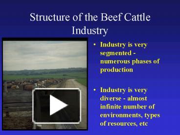 Structure of the Beef Cattle Industry presentation | free to view