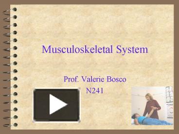 PPT – Musculoskeletal System PowerPoint presentation | free to view ...