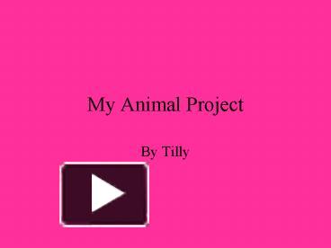 PPT – My Animal Project PowerPoint presentation | free to view - id ...