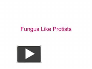 PPT – Fungus Like Protists PowerPoint presentation | free to view - id ...