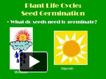 Plant Life Cycle: Seed Germination presentation | free to view