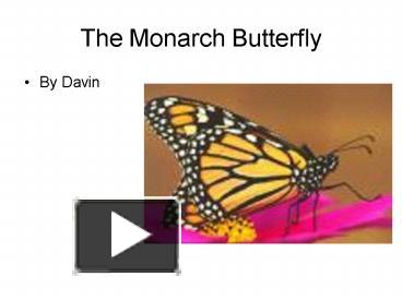 PPT – The Monarch Butterfly PowerPoint presentation | free to view - id ...