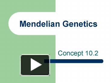 PPT – Mendelian Genetics PowerPoint presentation | free to view - id ...