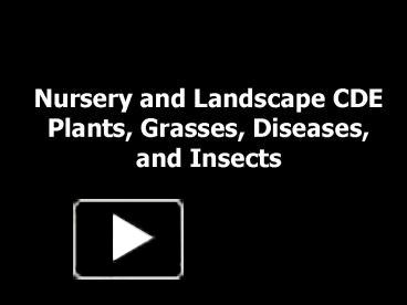 Nursery and Landscape CDE Plants, Grasses, Diseases, and Insects ...