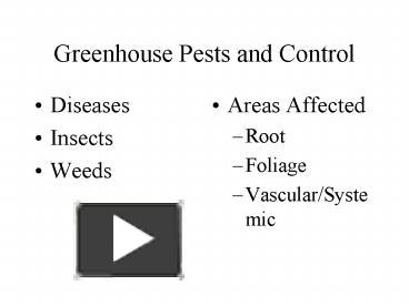 Greenhouse Pests and Control presentation | free to view