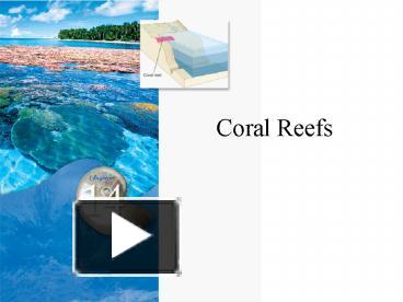 PPT – Coral Reefs PowerPoint presentation | free to view - id: 1e30ee-ZDc1Z