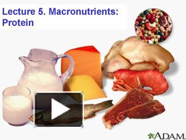 PPT – Lecture 5' Macronutrients: Protein PowerPoint presentation | free ...