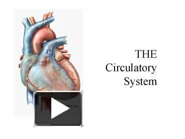 THE Circulatory System presentation | free to view
